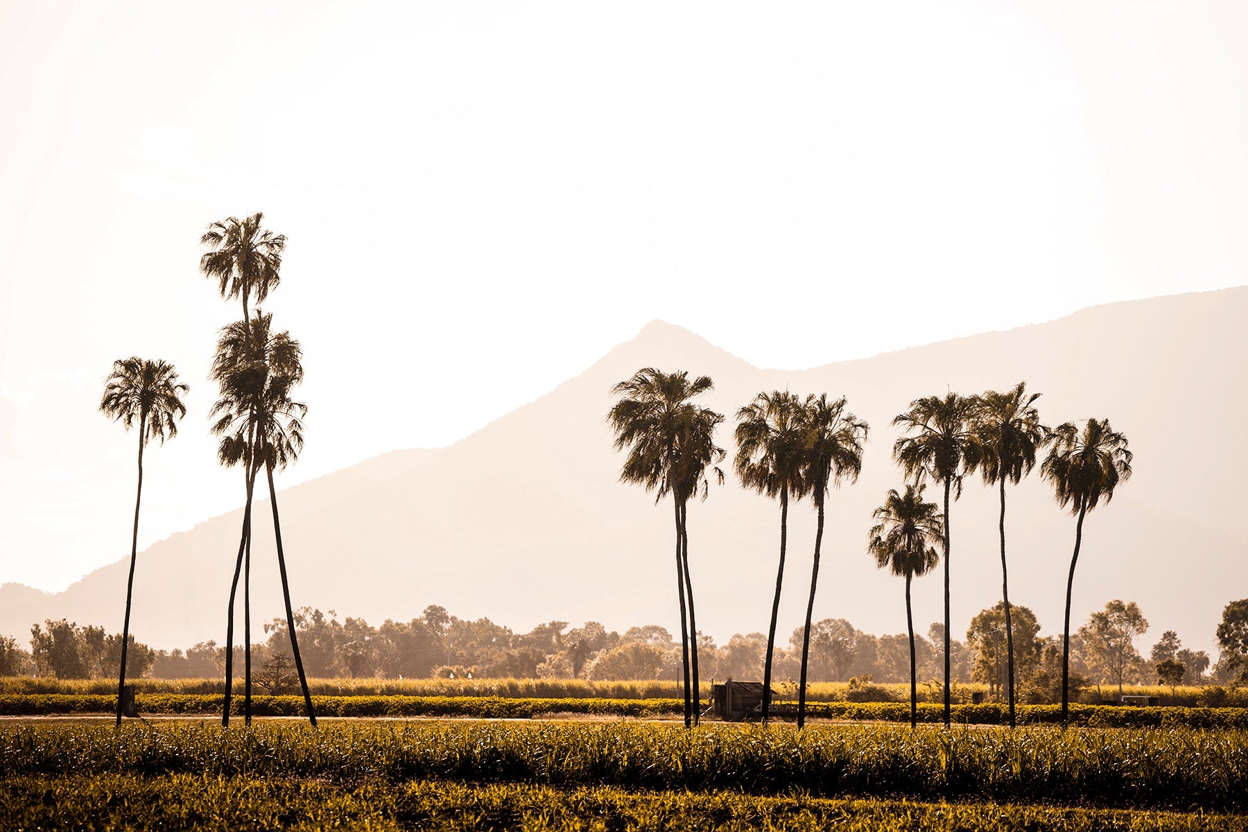 Popular – Page 2 – Sean Scott Photography