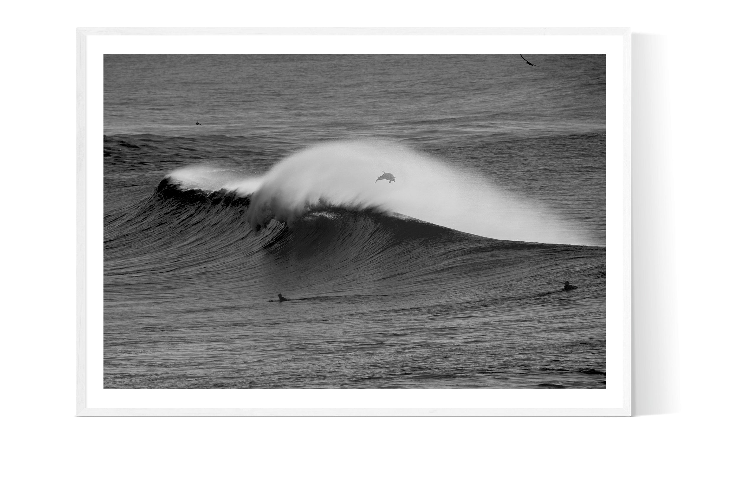 0460 – Sean Scott Photography