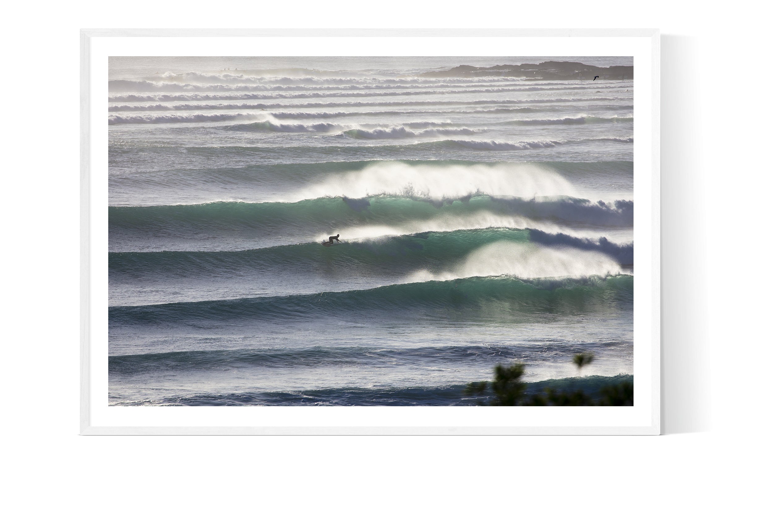 3253 – Sean Scott Photography